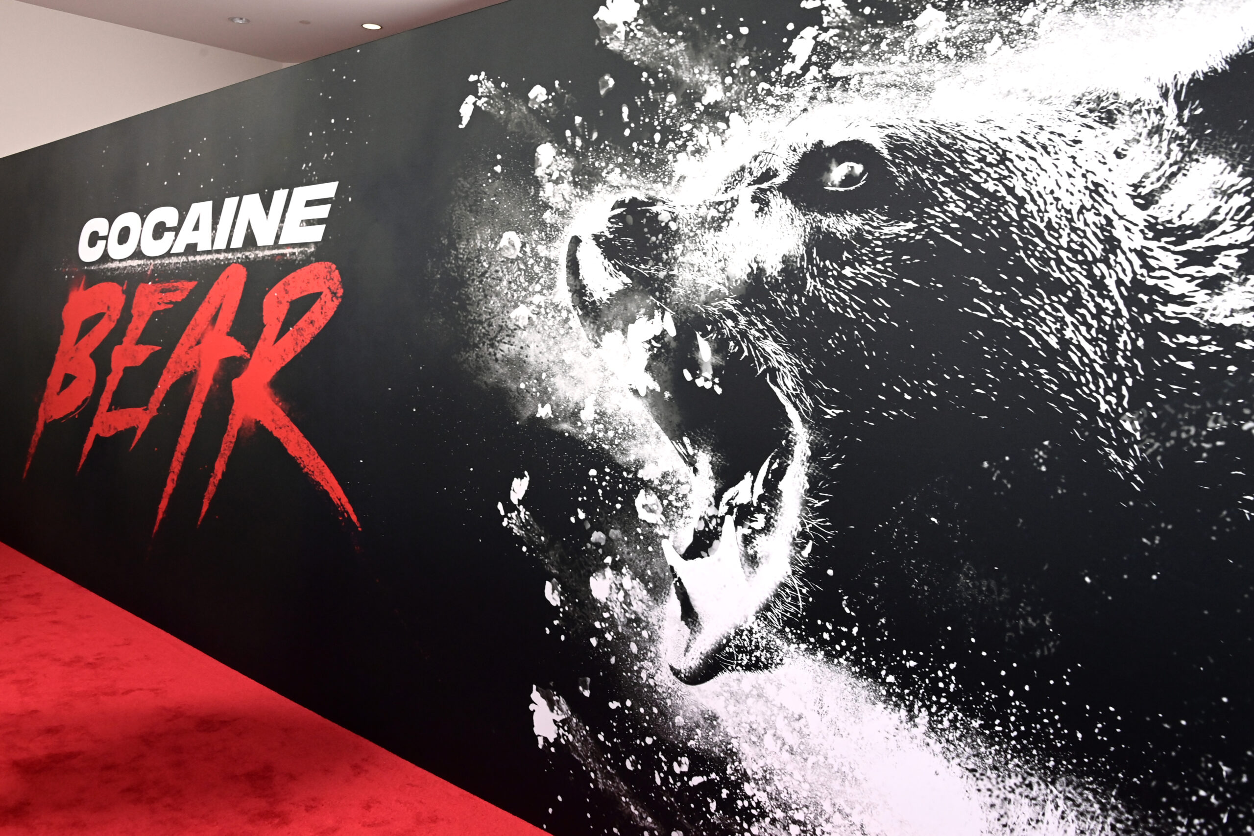 This wedding officiator is a coke addict! He’s also dead. And a bear. - TFM